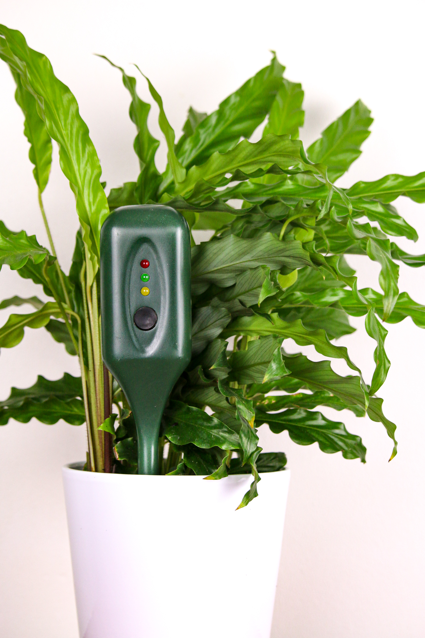 Fertometer: measures fertilisation + gives advice - PlantCareTools