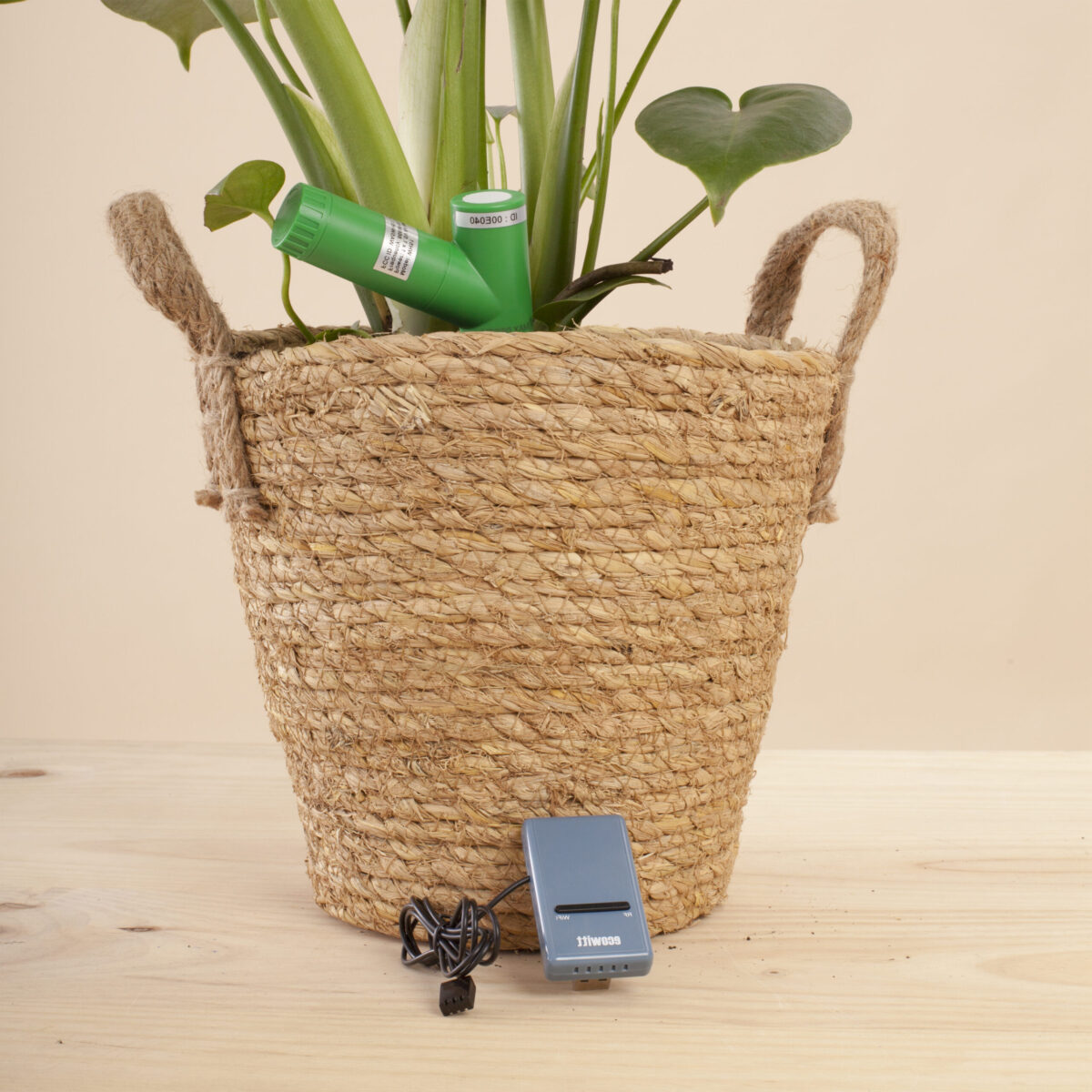 Ecowitt Soil Moisture Sensor - Plant Care Tools