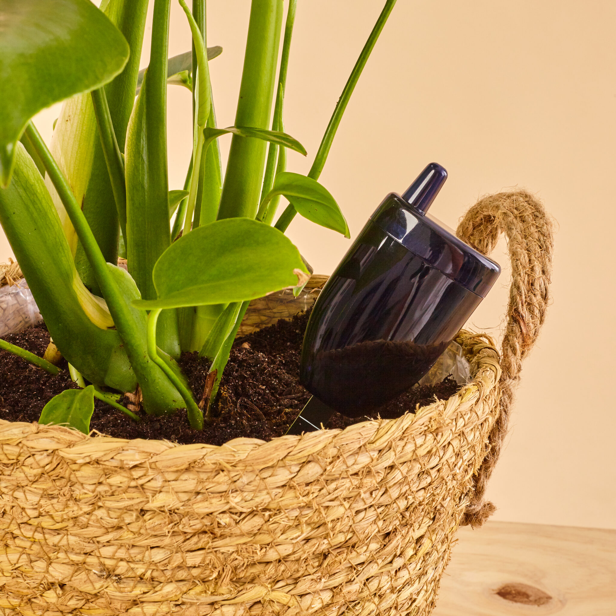 Temperatuur meten - Plant Care Tools