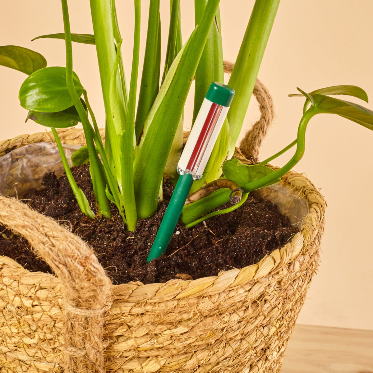 Seramis Moisture Indicator 16cm - Plant Care Tools