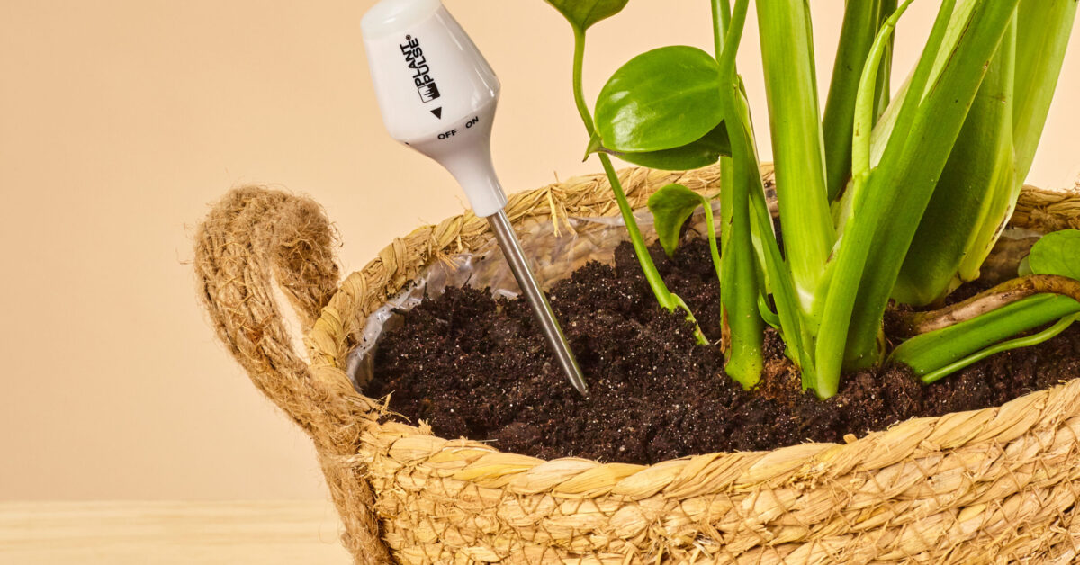 Plant Pulse Moisture Sensor – Plant Care Tools
