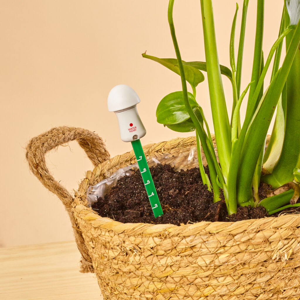 Measuring Instruments - Plant Care Tools