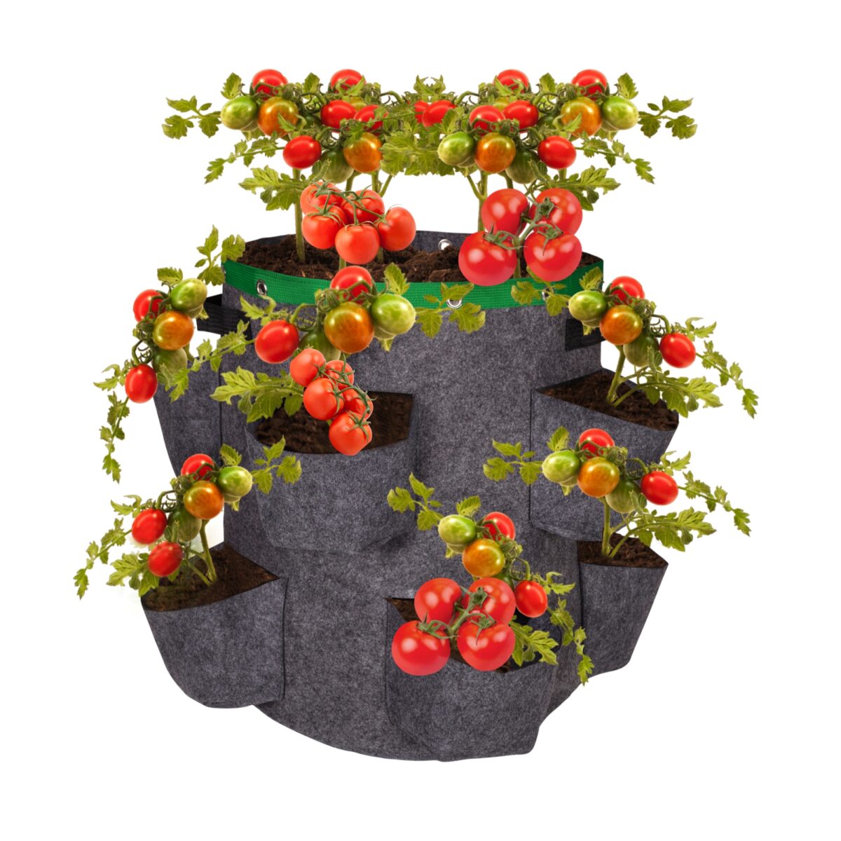 PlantGrowBag Floor Standing - Plant Care Tools