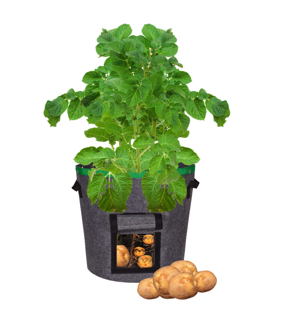 PlantGrowBag with Window - Potatoes - Ginger - Garlic - Carrots ...