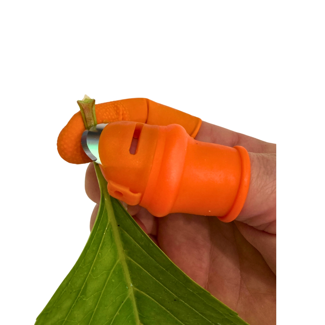 Silicone Thumb Knife with Finger Protectors - Plant Care Tools