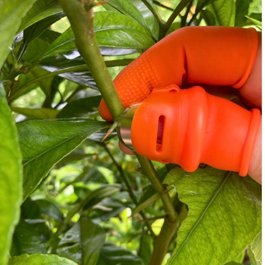 Silicone Thumb Knife with Finger Protectors - Plant Care Tools