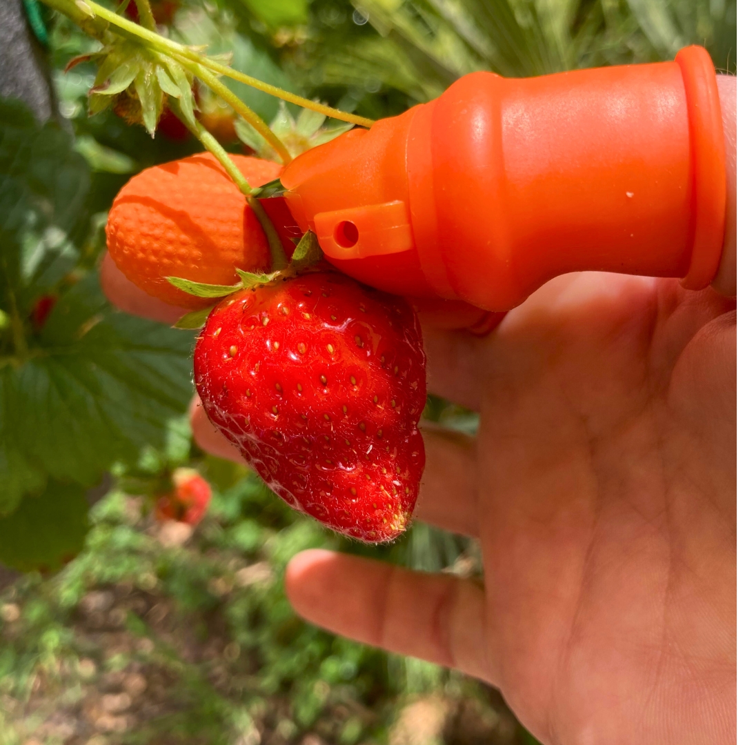 Silicone Thumb Knife with Finger Protectors - Plant Care Tools