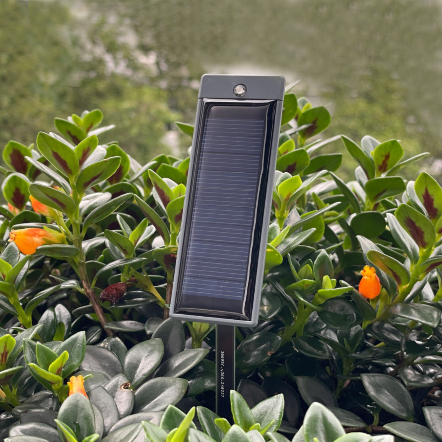 Soil moisture sensor: chargeable by sunlight and artificial light ...