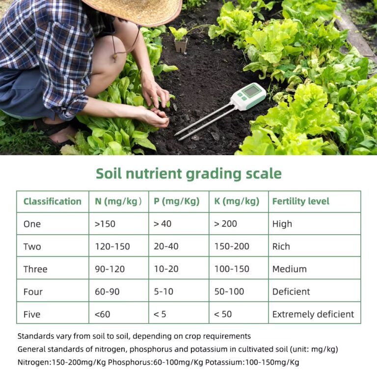 Testeur de sol : azote, phosphore, potassium (NPK) et température ...
